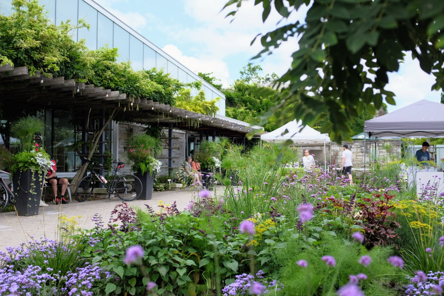 Toronto Botanical Garden Shop | Plants, Garden Essentials & Home Decor ...